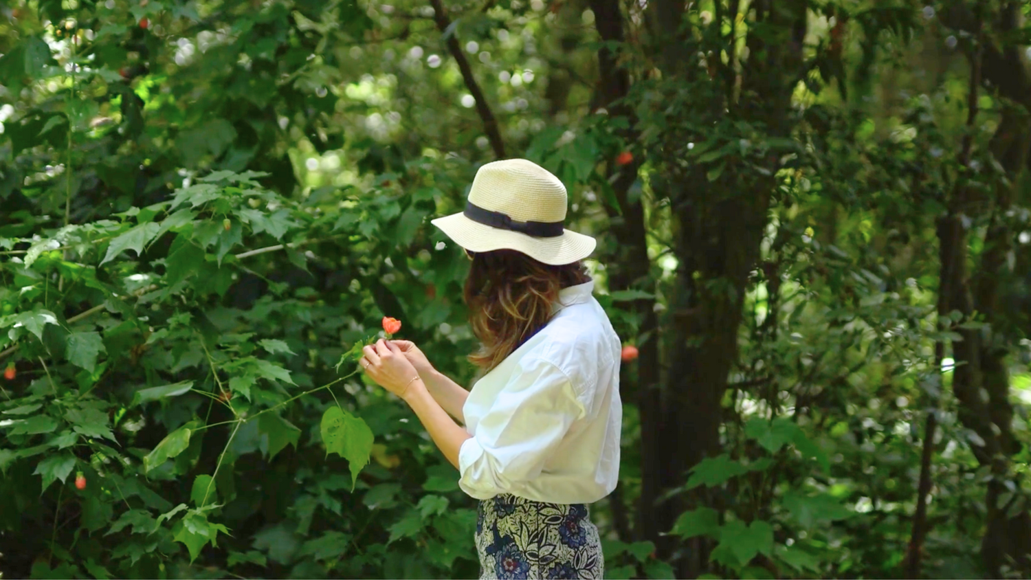 SOVAGE, L'art de trinquer, sans alcool, assemblages d'hydrolats.